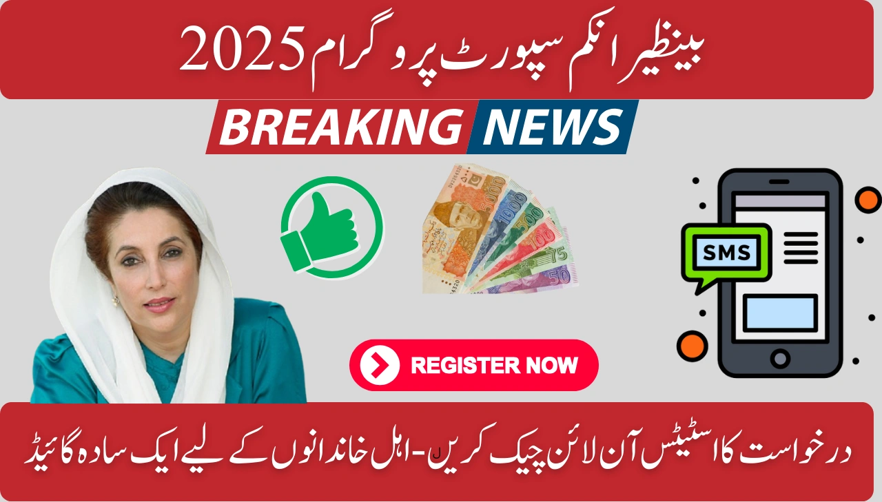 BISP Application Status Check Online – A Simple Guide for Eligible ...